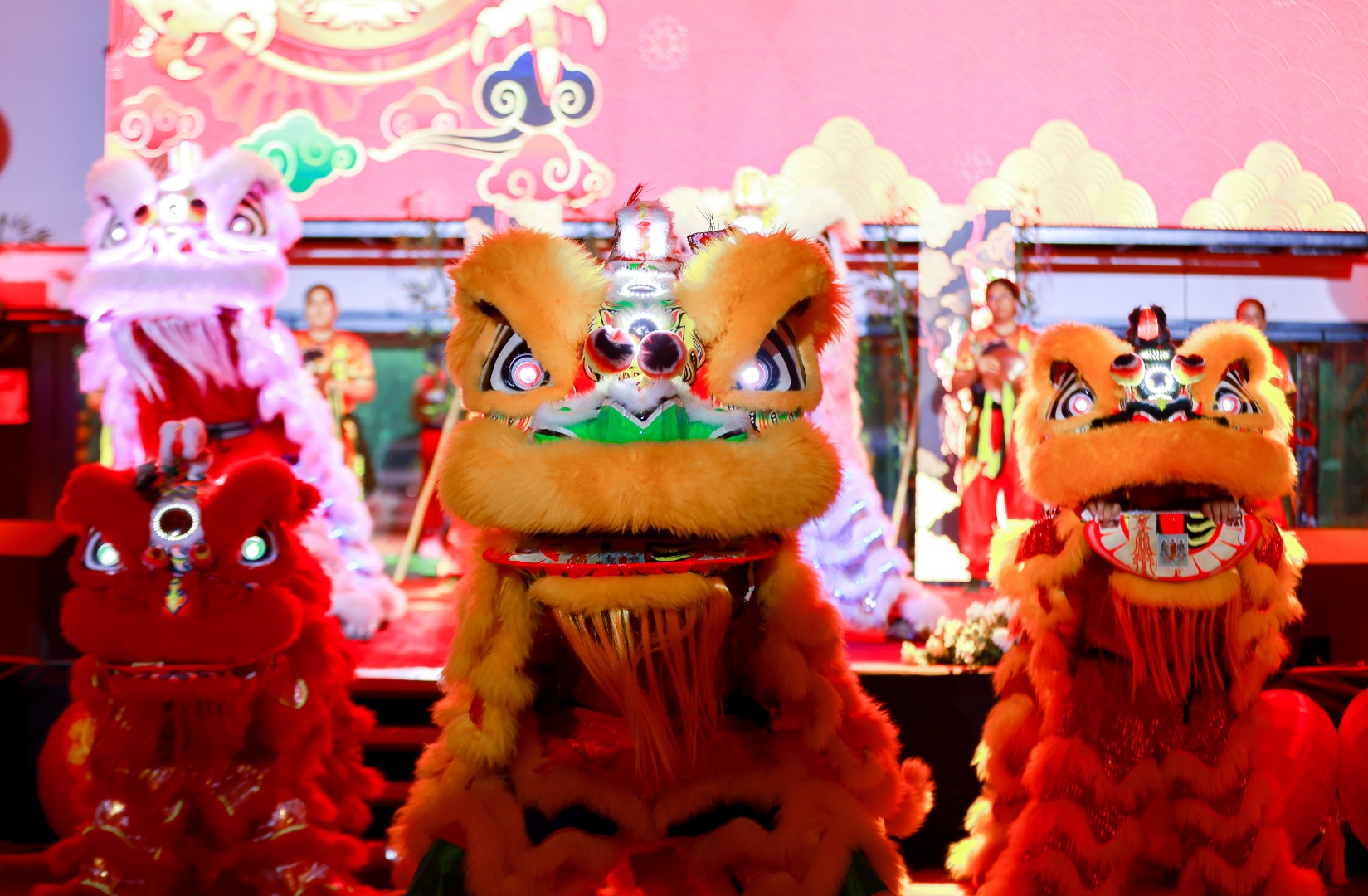 China Town Spring Festival 2024 - SWAN Mauritius - For Life